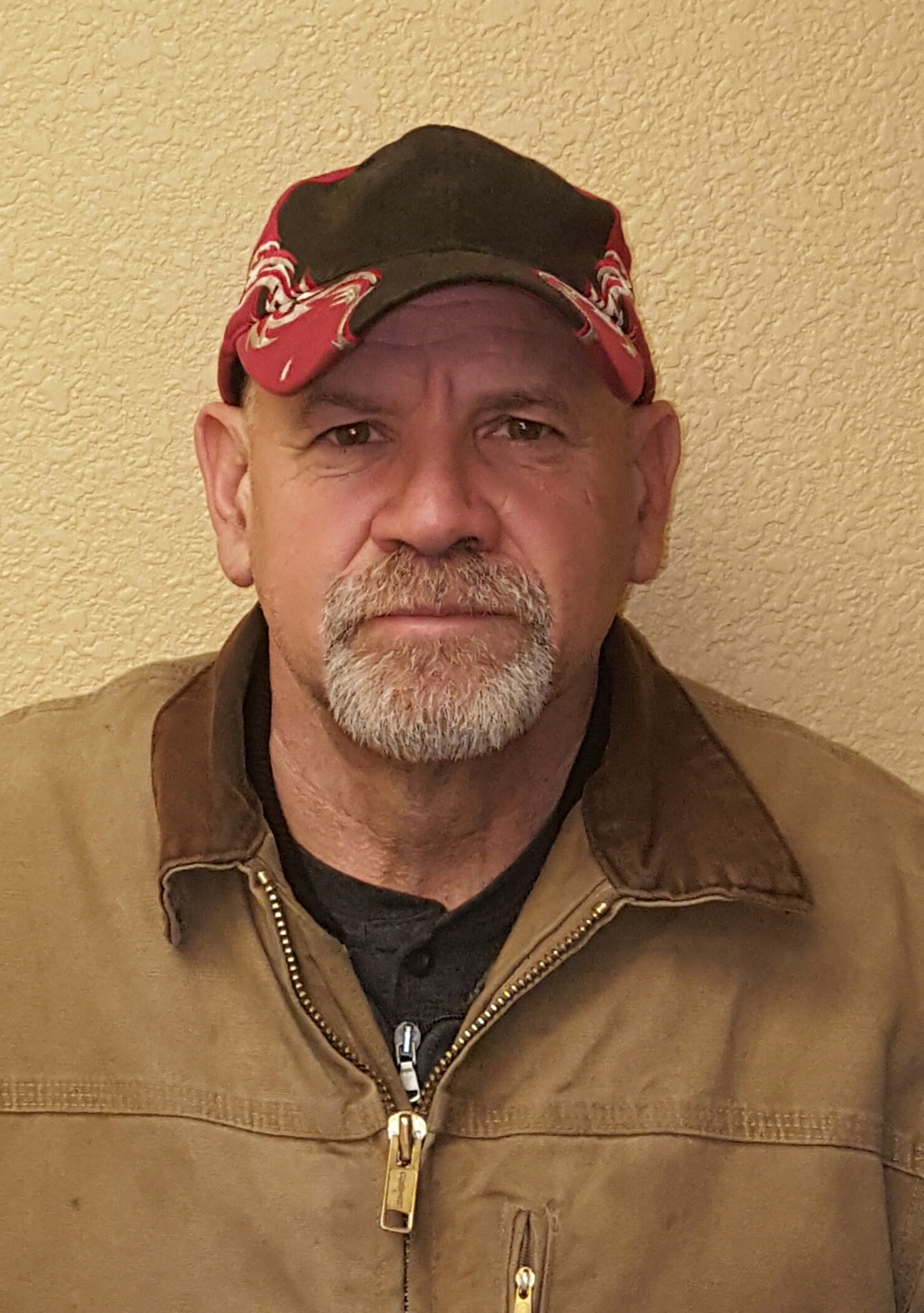 David Van Steyn - Foodliner