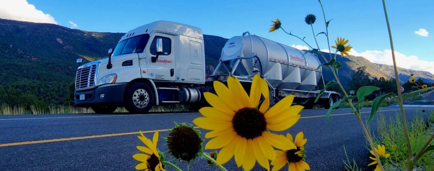 20220921_175928 - Foodliner